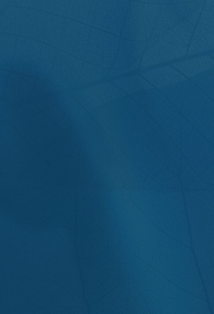 McKenzie Implant & Family Dentistry | Dentist | Hannibal, MO